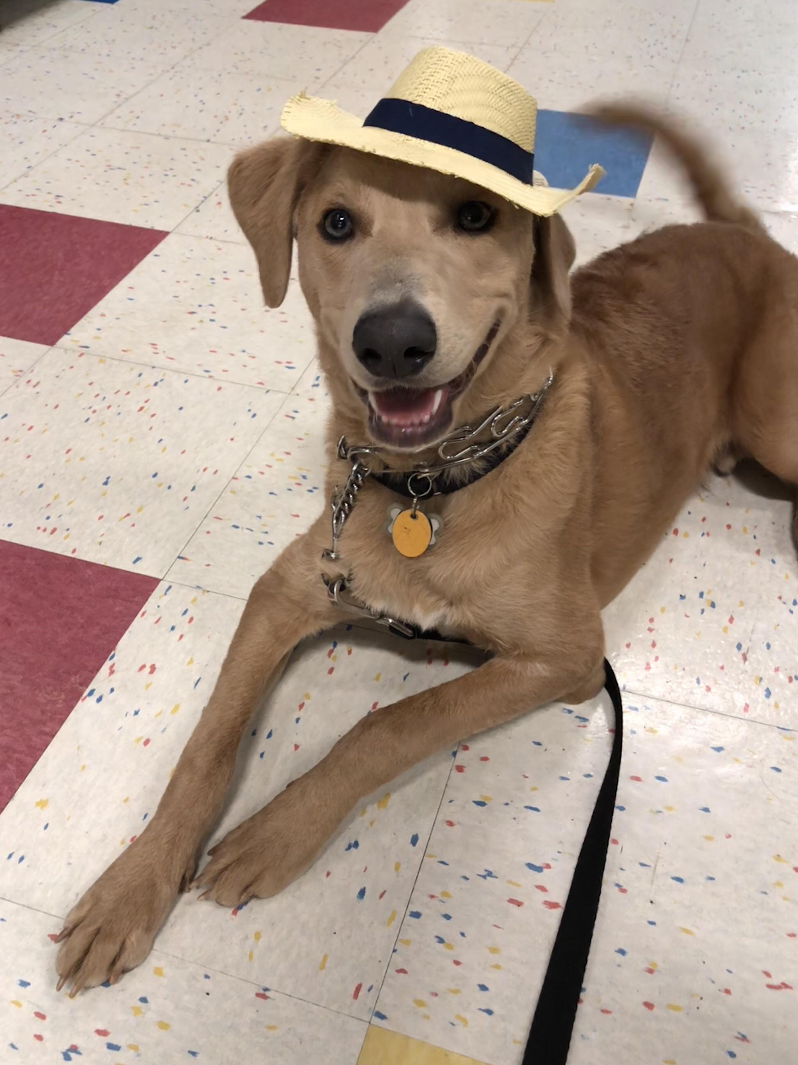 WOT in TARNATION | Scrolller