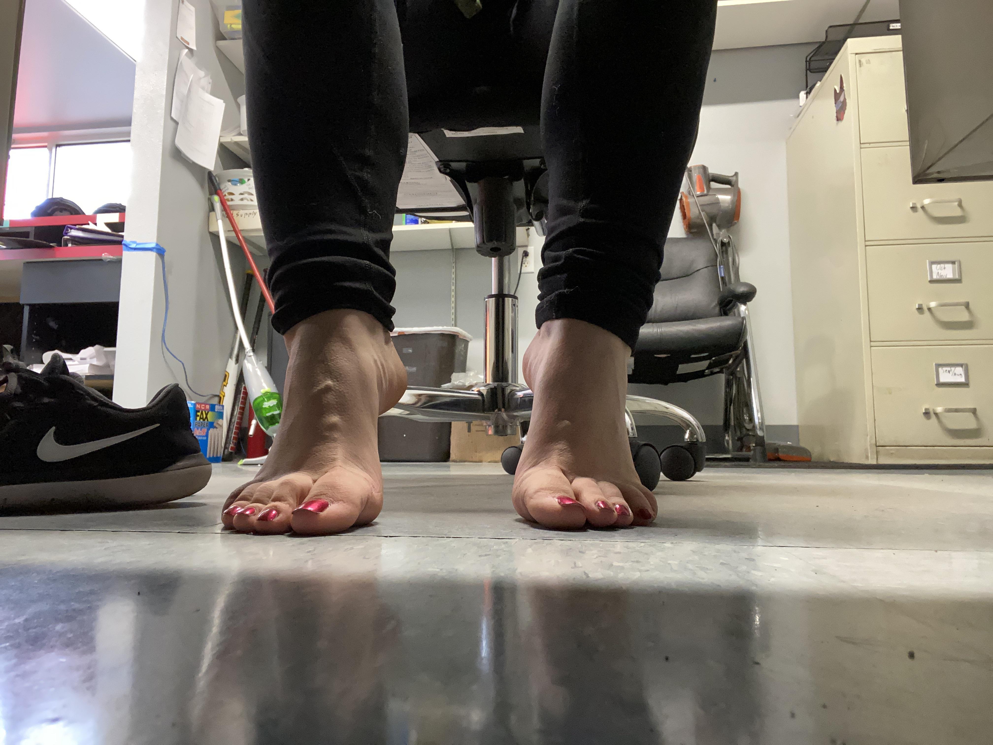 Would you like to be kept under my desk to worship while I work? | Scrolller