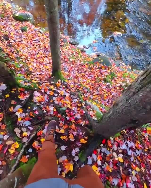 🔥 This place in Vermont is absolutely incredible | Scrolller