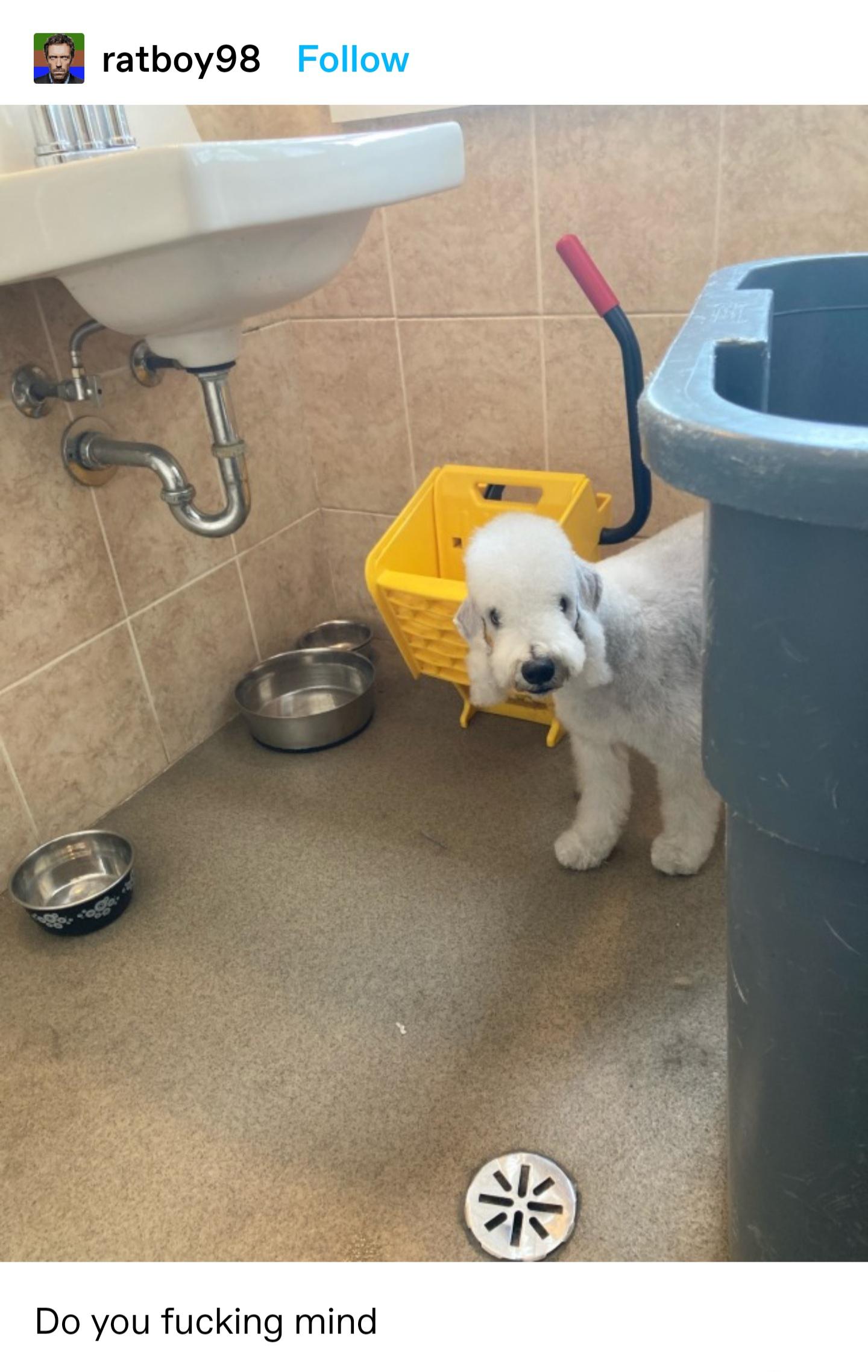 Wow. Rude. | Scrolller