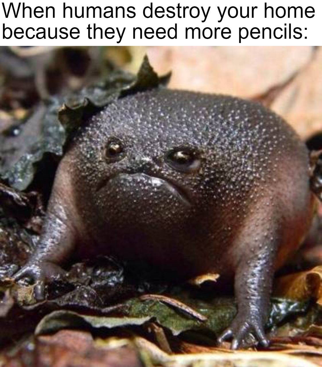 Wtf dude | Scrolller