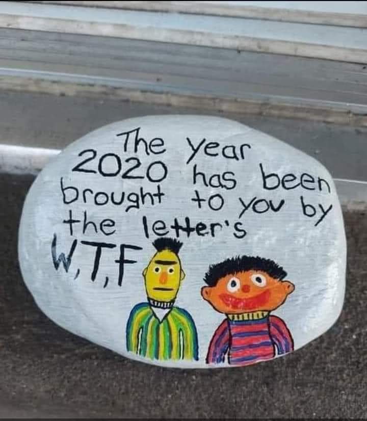 WTF indeed | Scrolller