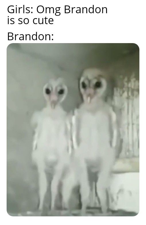 Wtf is OC maymay | Scrolller