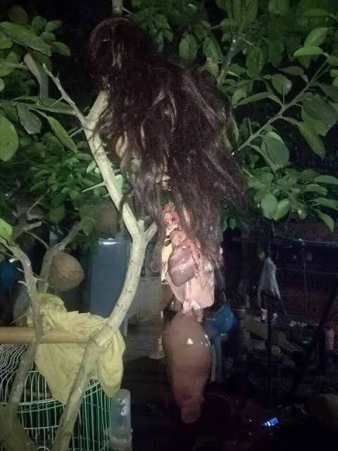 Wtf is this ? | Scrolller