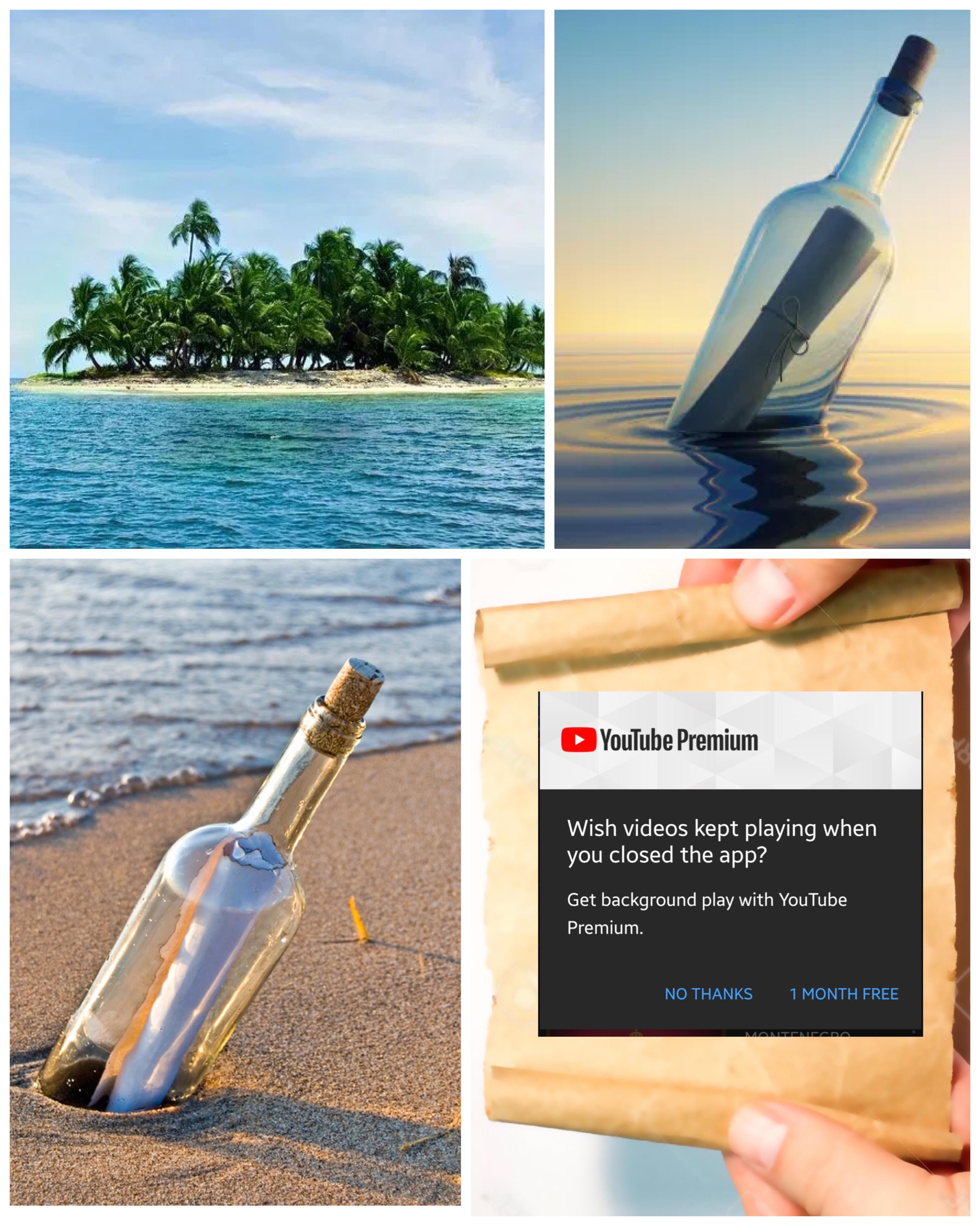 Wtf Wilson | Scrolller