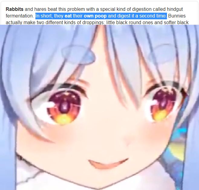 Yabai peko | Scrolller