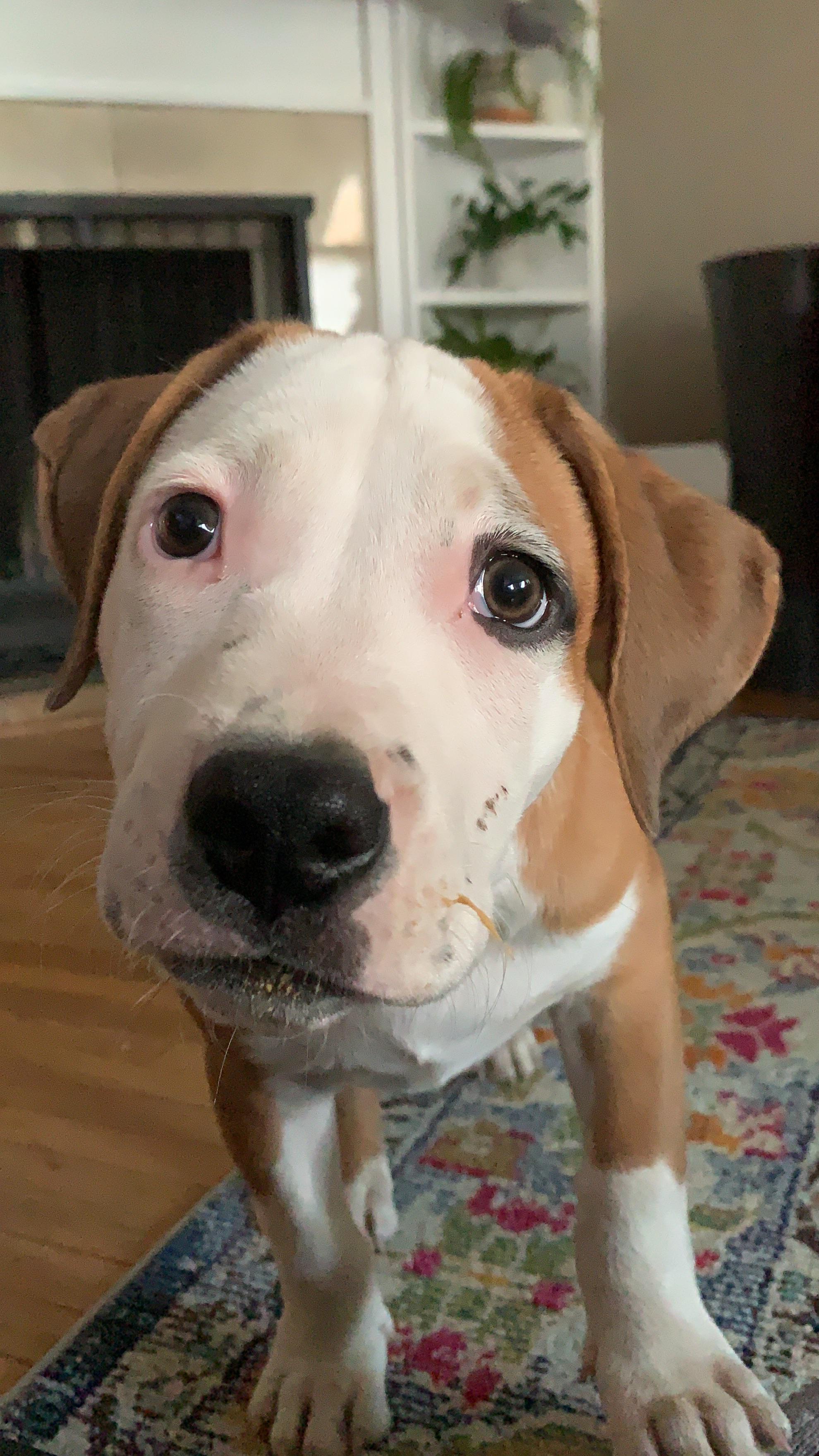 Y'all got any more of that peanut butter? | Scrolller