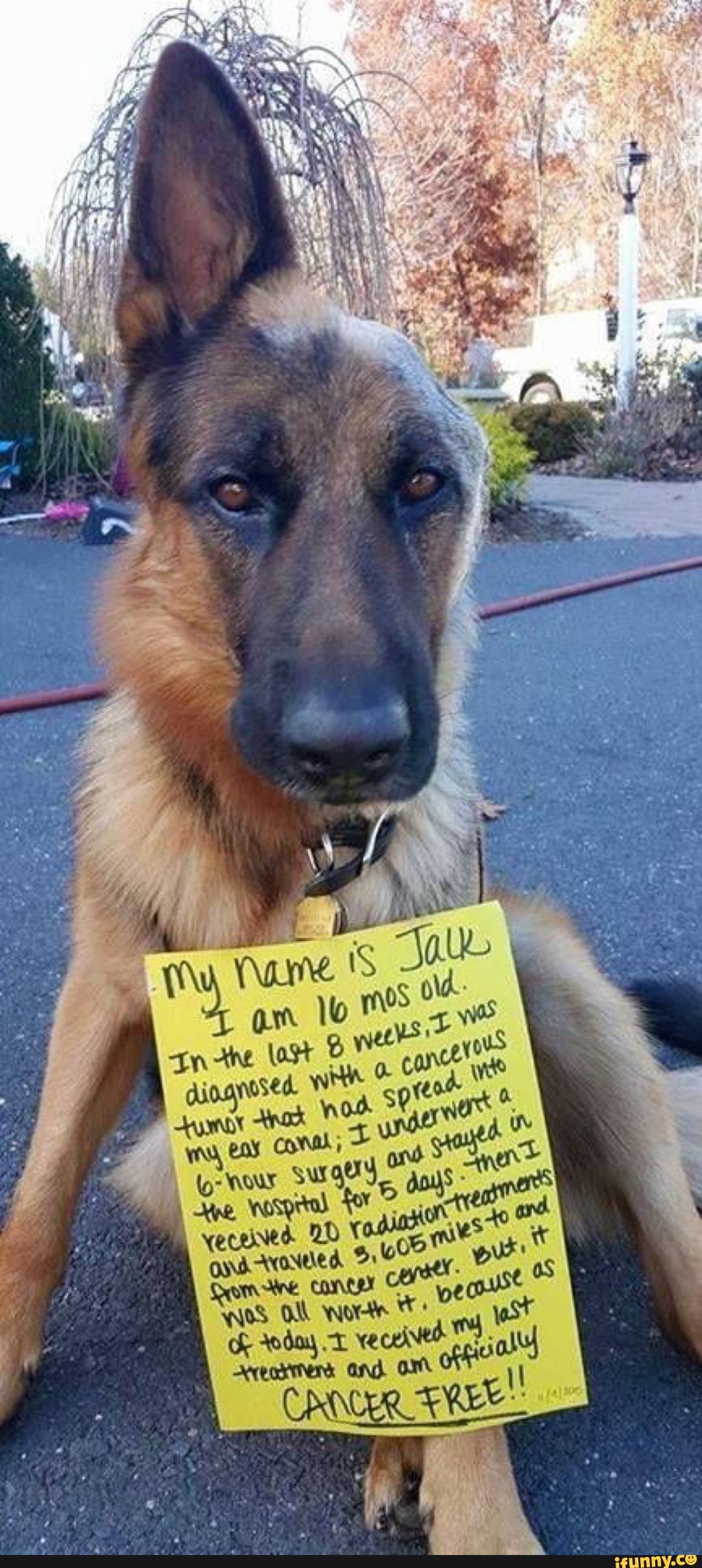 Yay for him. 😁 | Scrolller