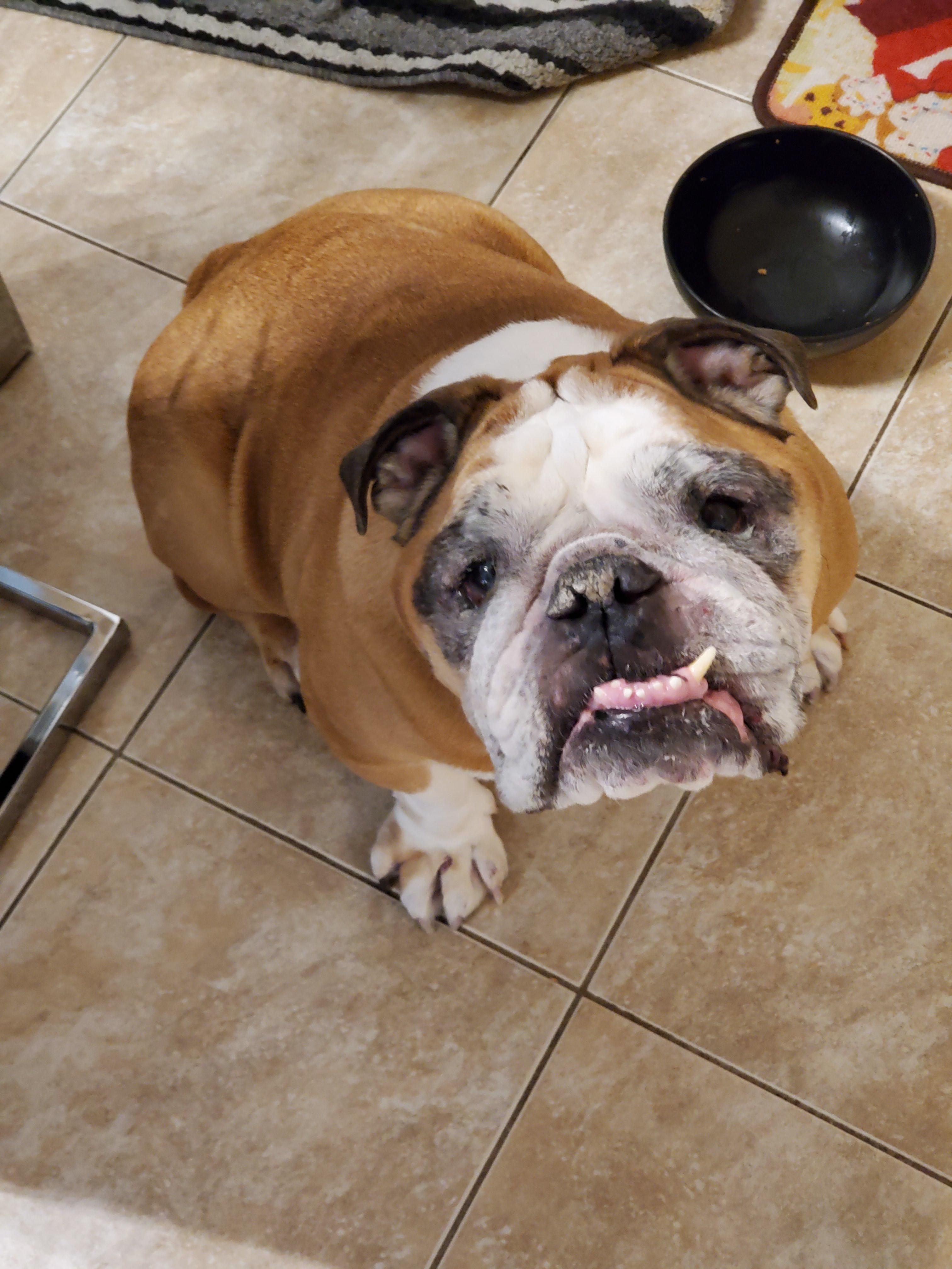 Yes, but what about Second Breakfast? | Scrolller