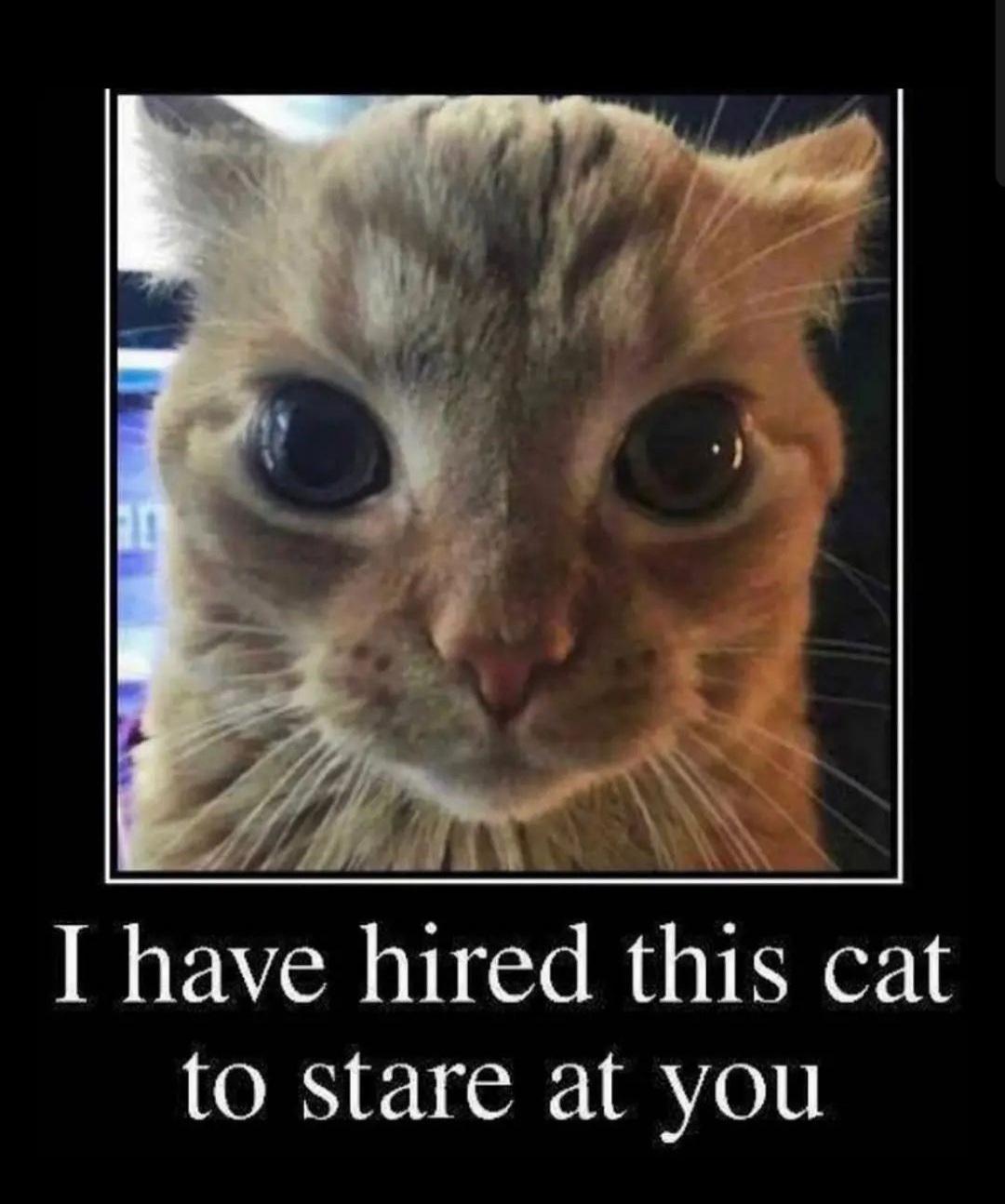 Yes i did | Scrolller