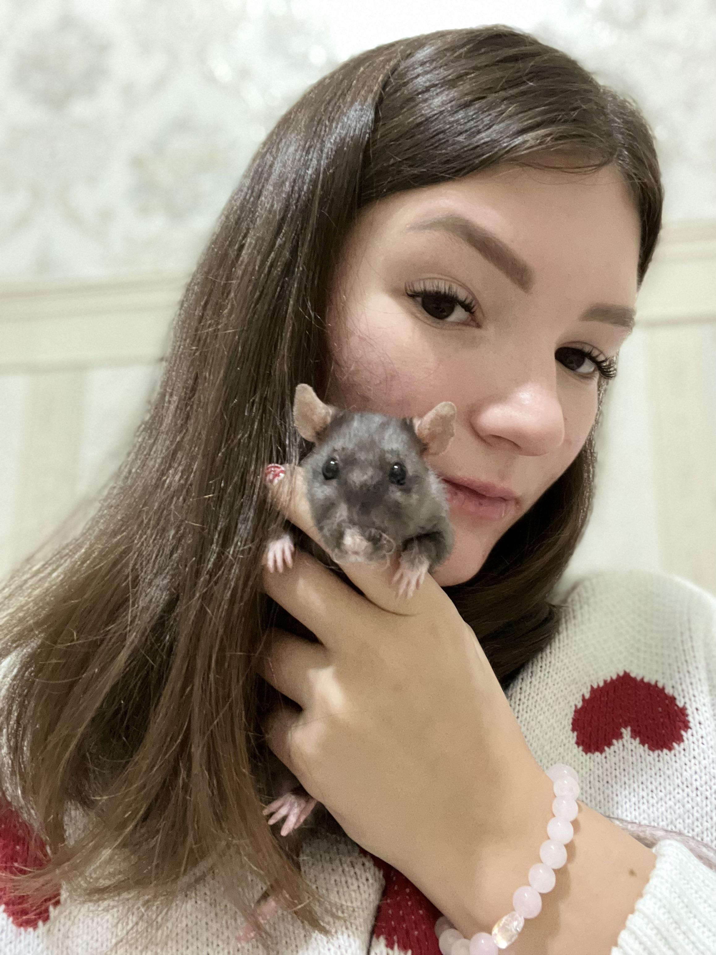 Yes? NO? | Scrolller