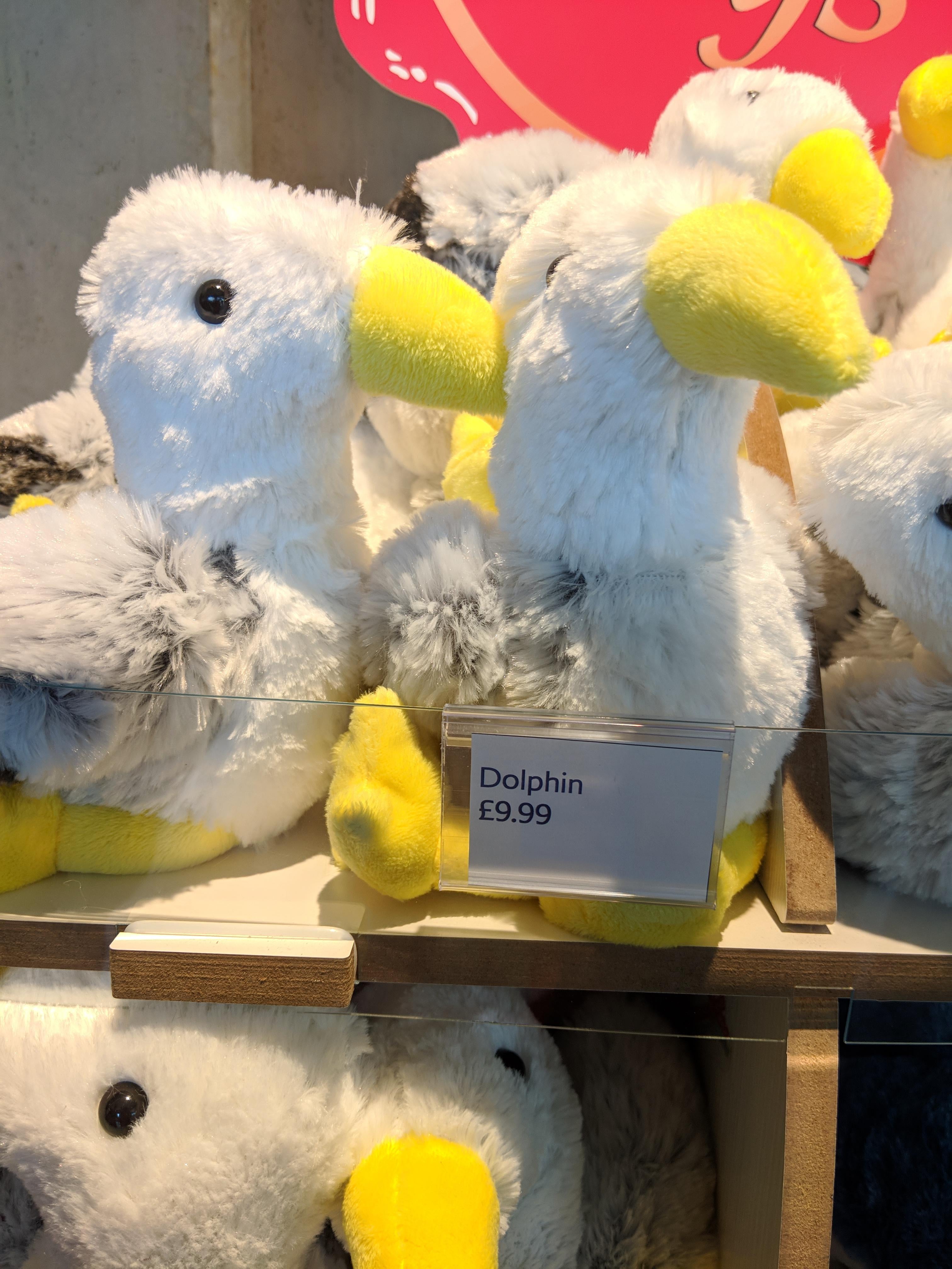 Yes... That's a dolphin... | Scrolller