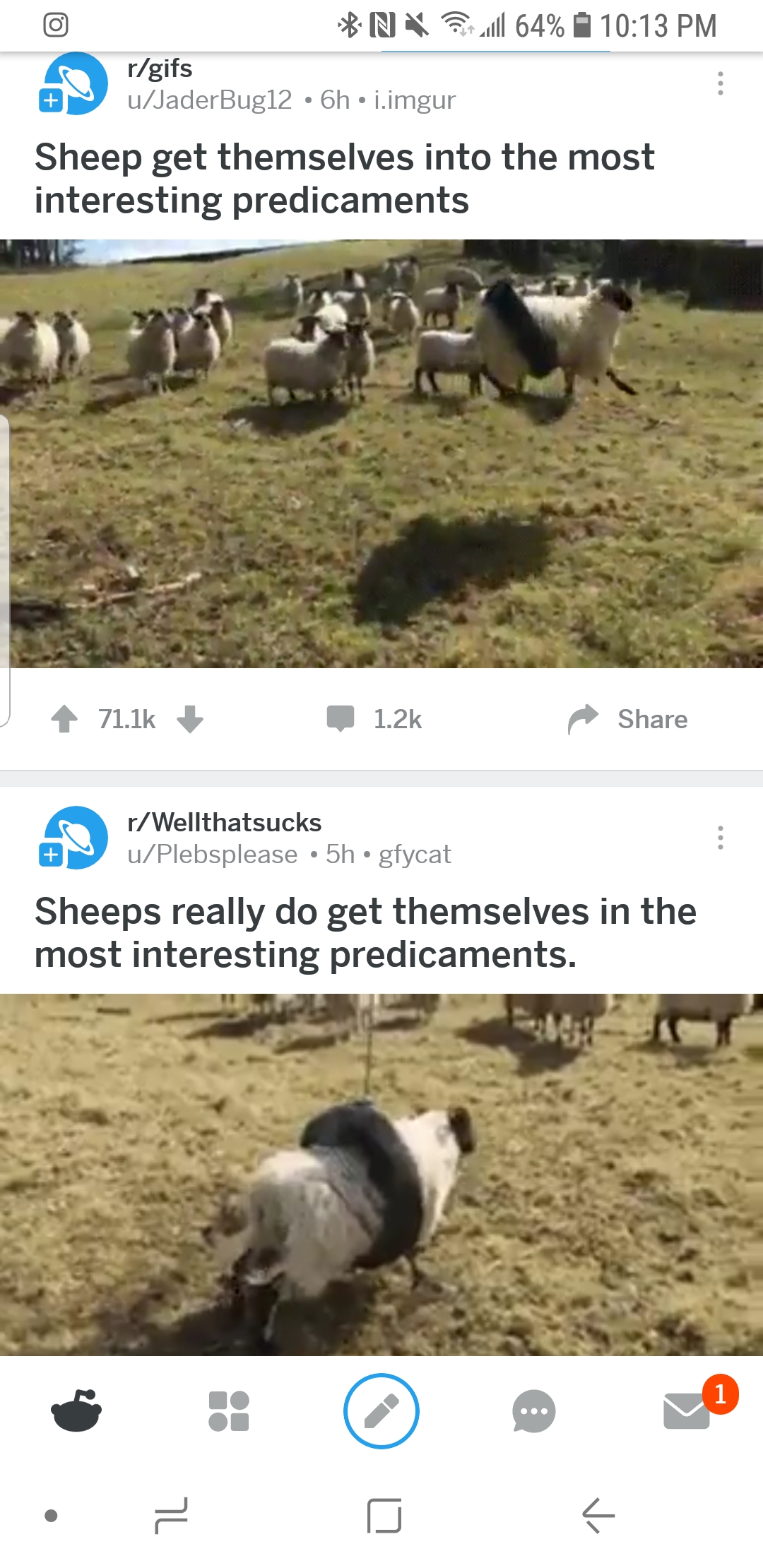 Yes. We do. | Scrolller