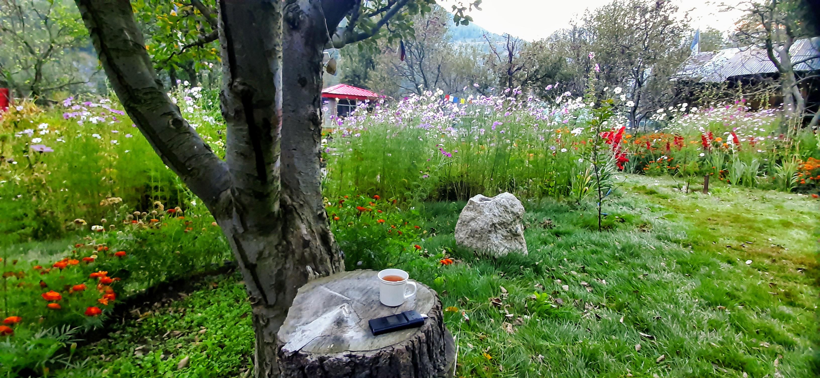 Yesterday's spot.. no cell coverage | Scrolller