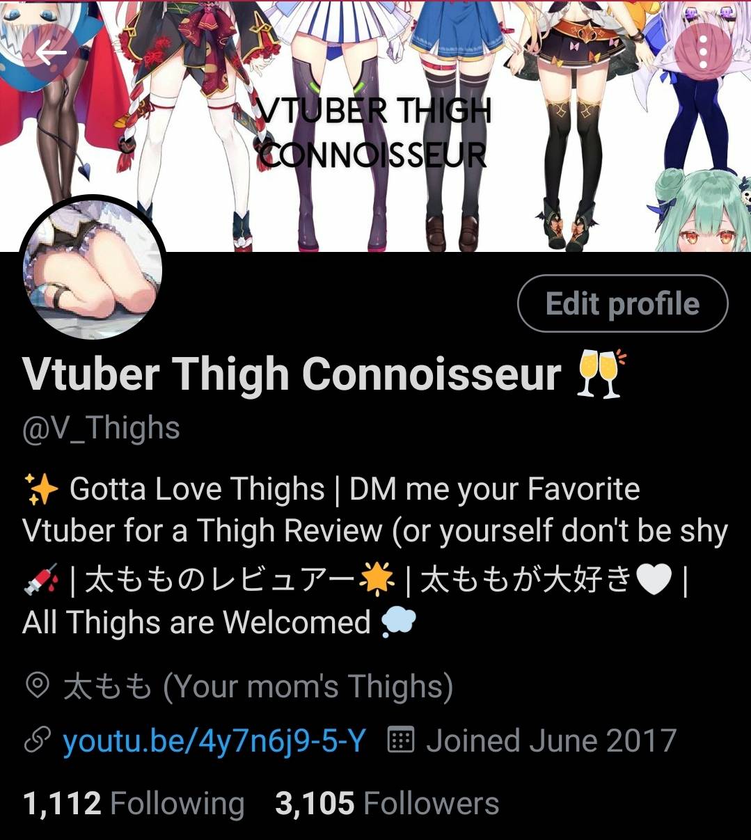 Yo I Am Vtuber Thigh Connoisseur If You Like Vtubers And If You Like Thighs Please Join Me