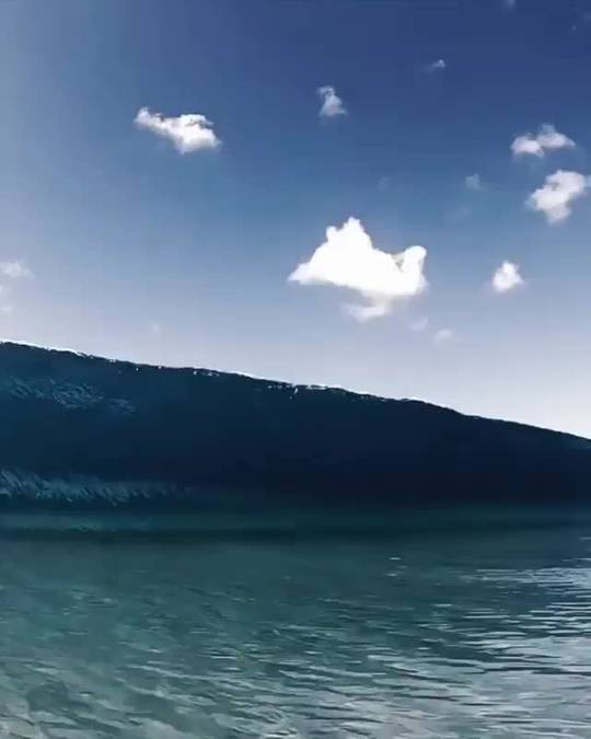 Yo this wave tho | Scrolller