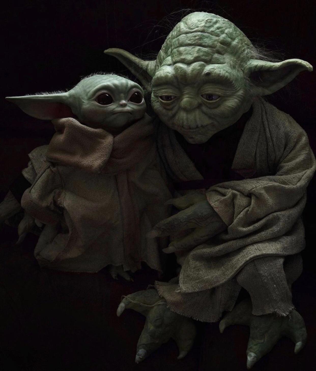 Yoda and Grogu | Scrolller