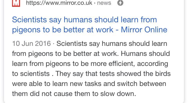 Yooooooo | Scrolller