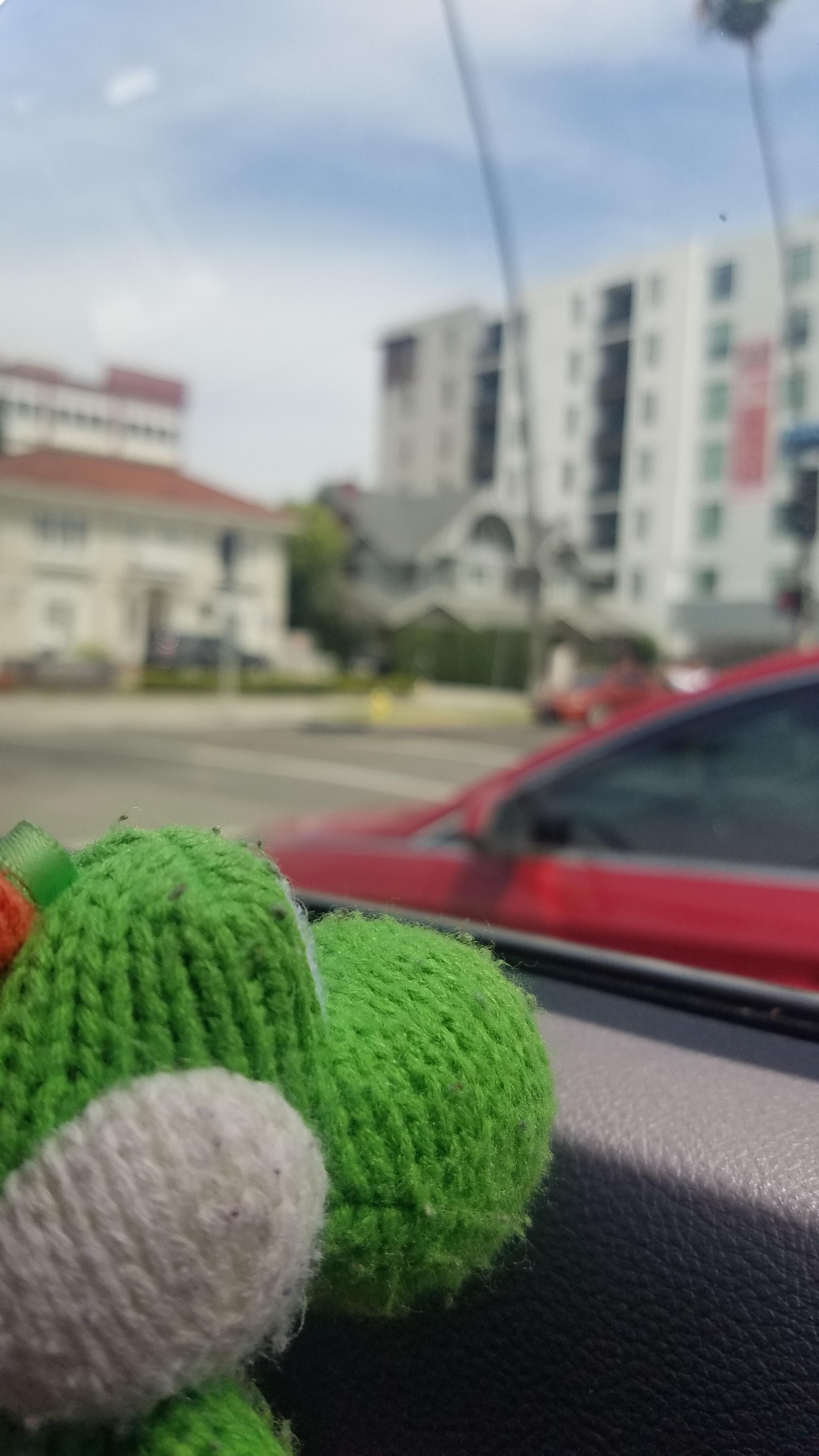 Yoshi looking out car window | Scrolller