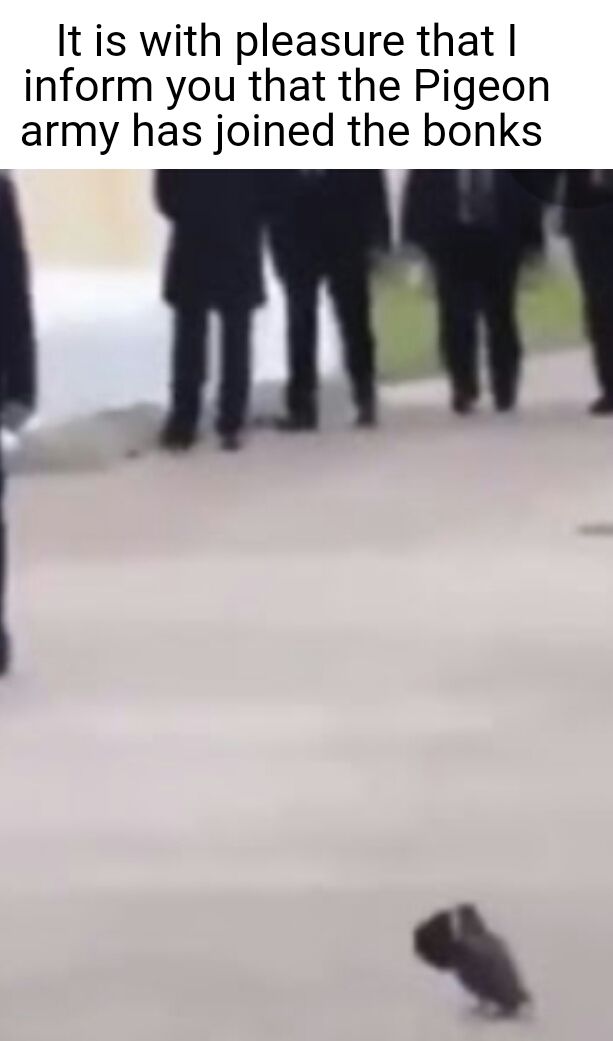 You are outnumbered! Surrender now! | Scrolller