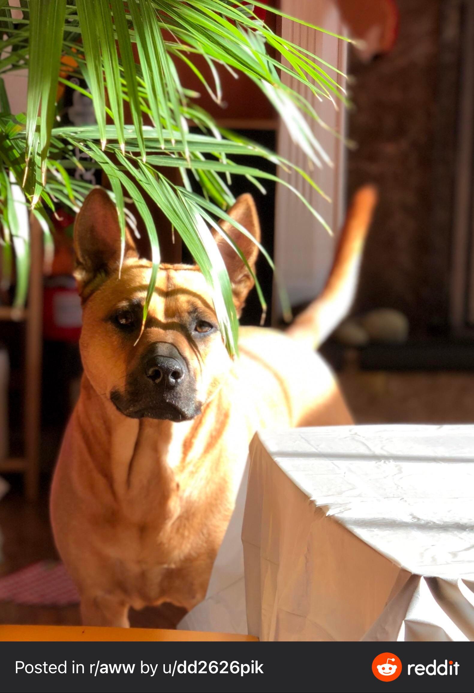 You can’t see me! | Scrolller