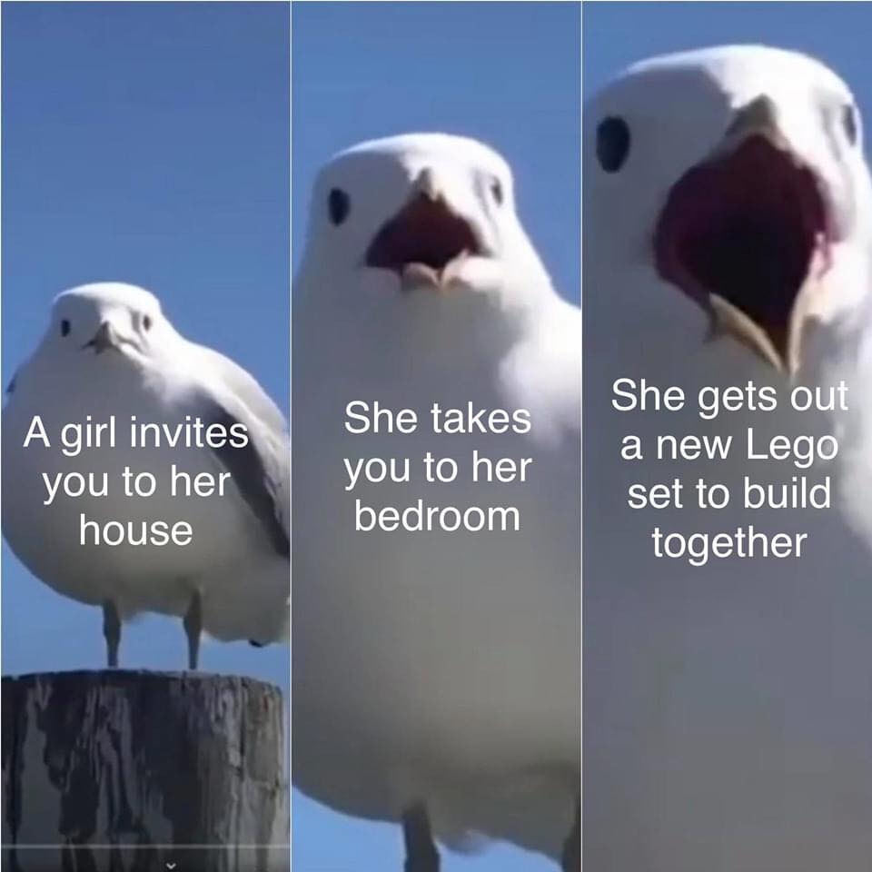 You expecting something else? | Scrolller