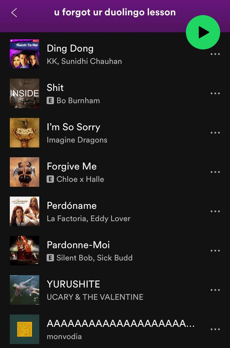 you forgot your duolingo lesson | Scrolller