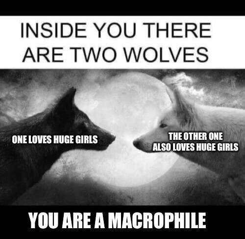 You have two wolves | Scrolller