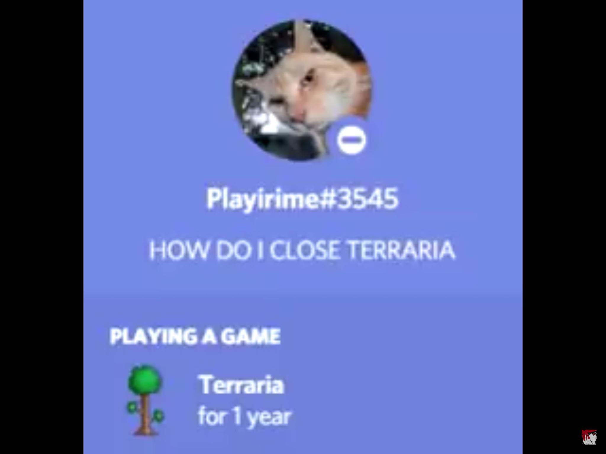 you know the rule and so do i | Scrolller