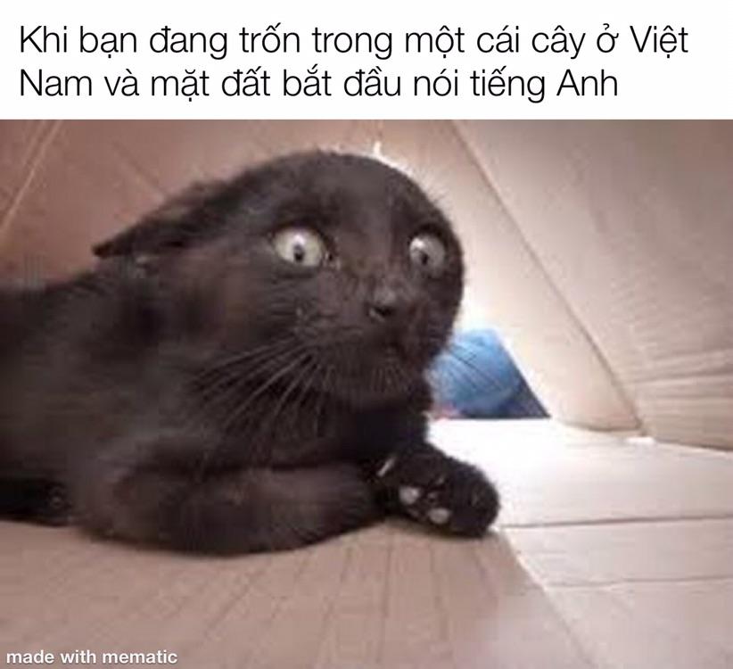 You’ll have to translate the meme to understand it | Scrolller