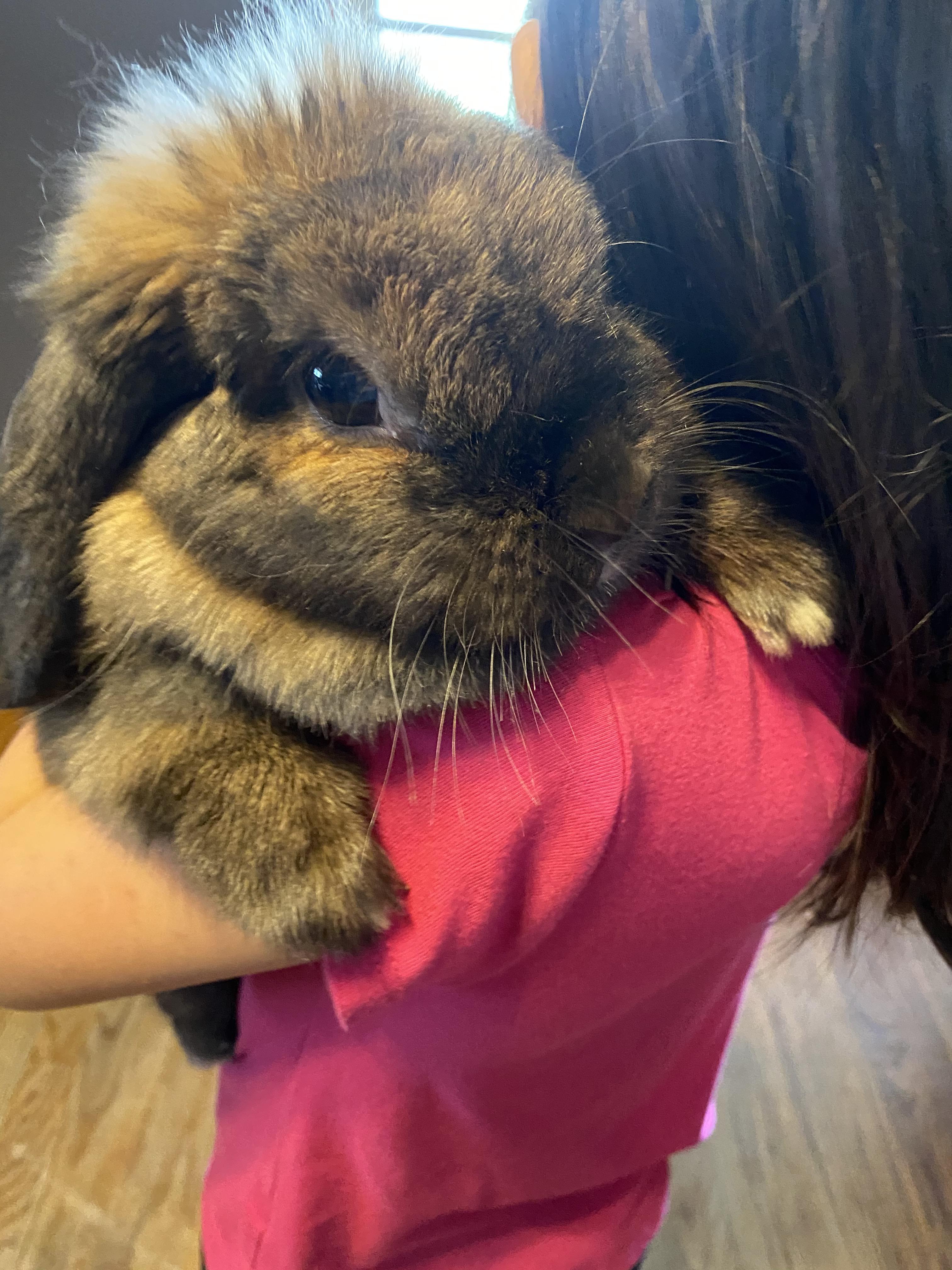 You may not like it but this is what peak performance looks like ...