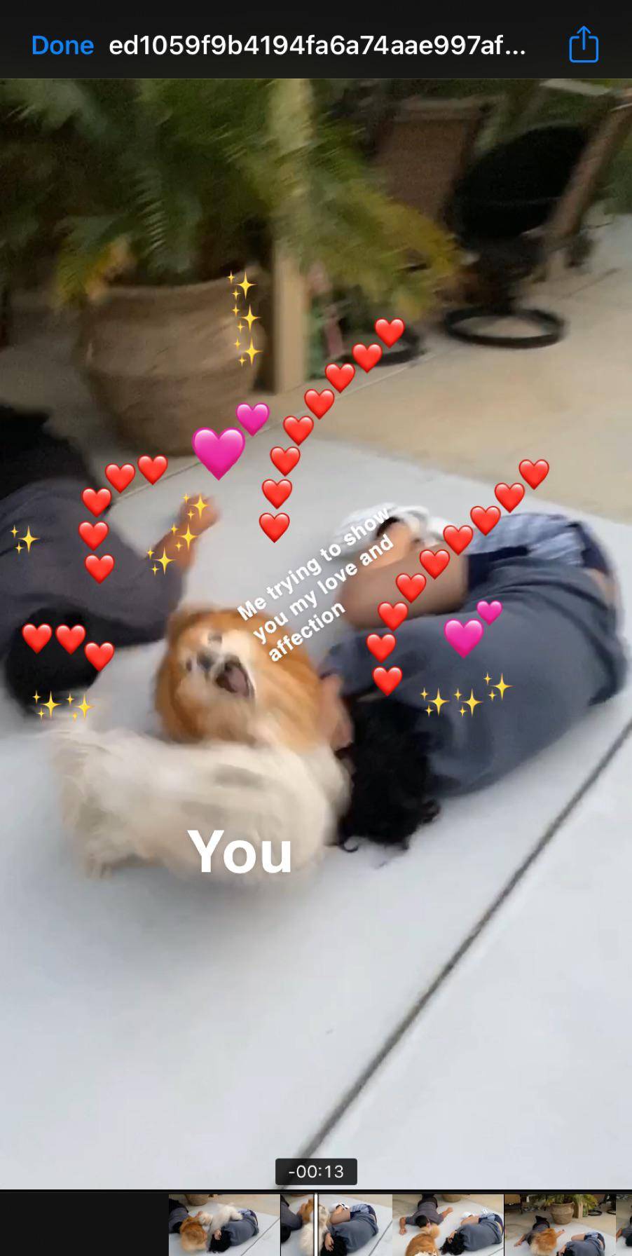 You’re a cutie! Accept it! | Scrolller