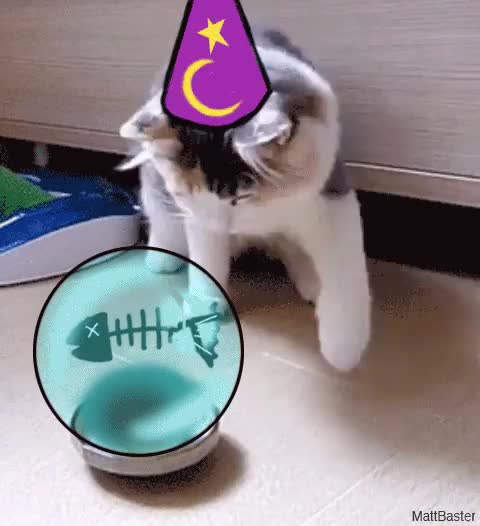 You’re a Hairy Wizard | Scrolller