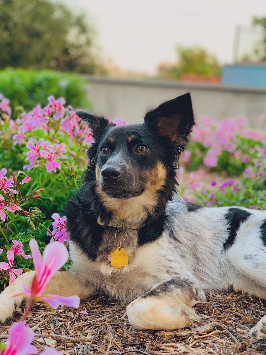 You’ve been scrolling for awhile, look at Spencer | Scrolller