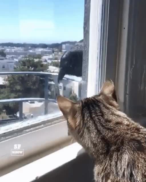 You want sum? | Scrolller