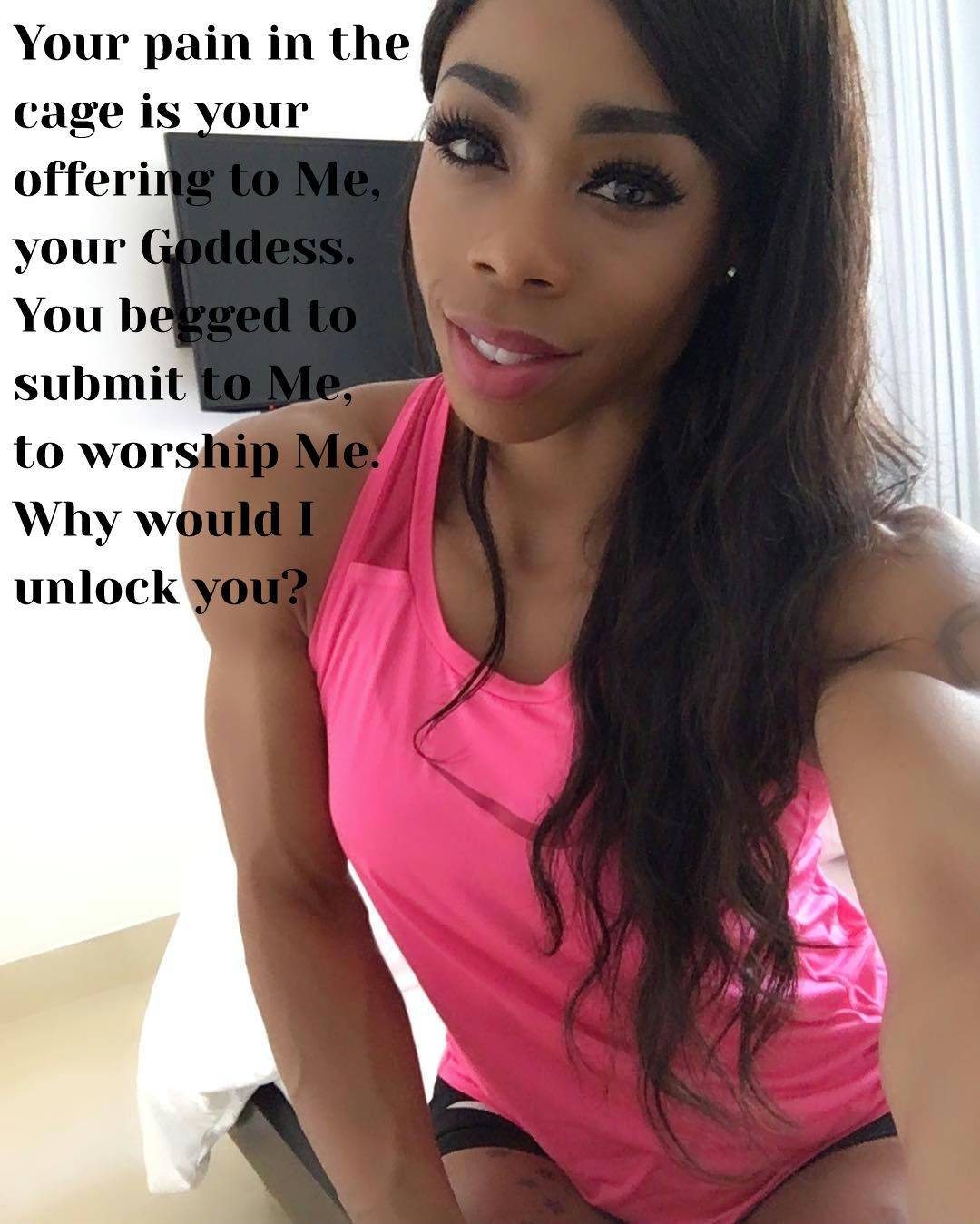 Your offering | Scrolller