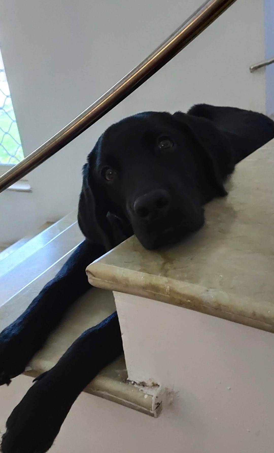 "You're adopted" | Scrolller