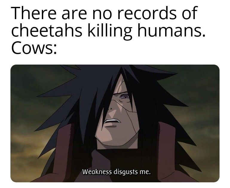 Youre weak, you lack.... Hatred | Scrolller