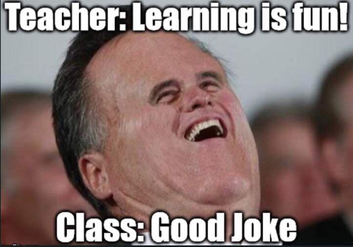 Zoom calls in a net shell | Scrolller