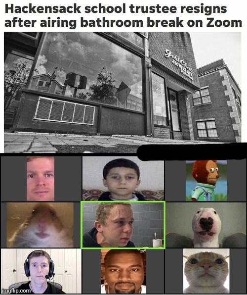 Zoom meetings | Scrolller