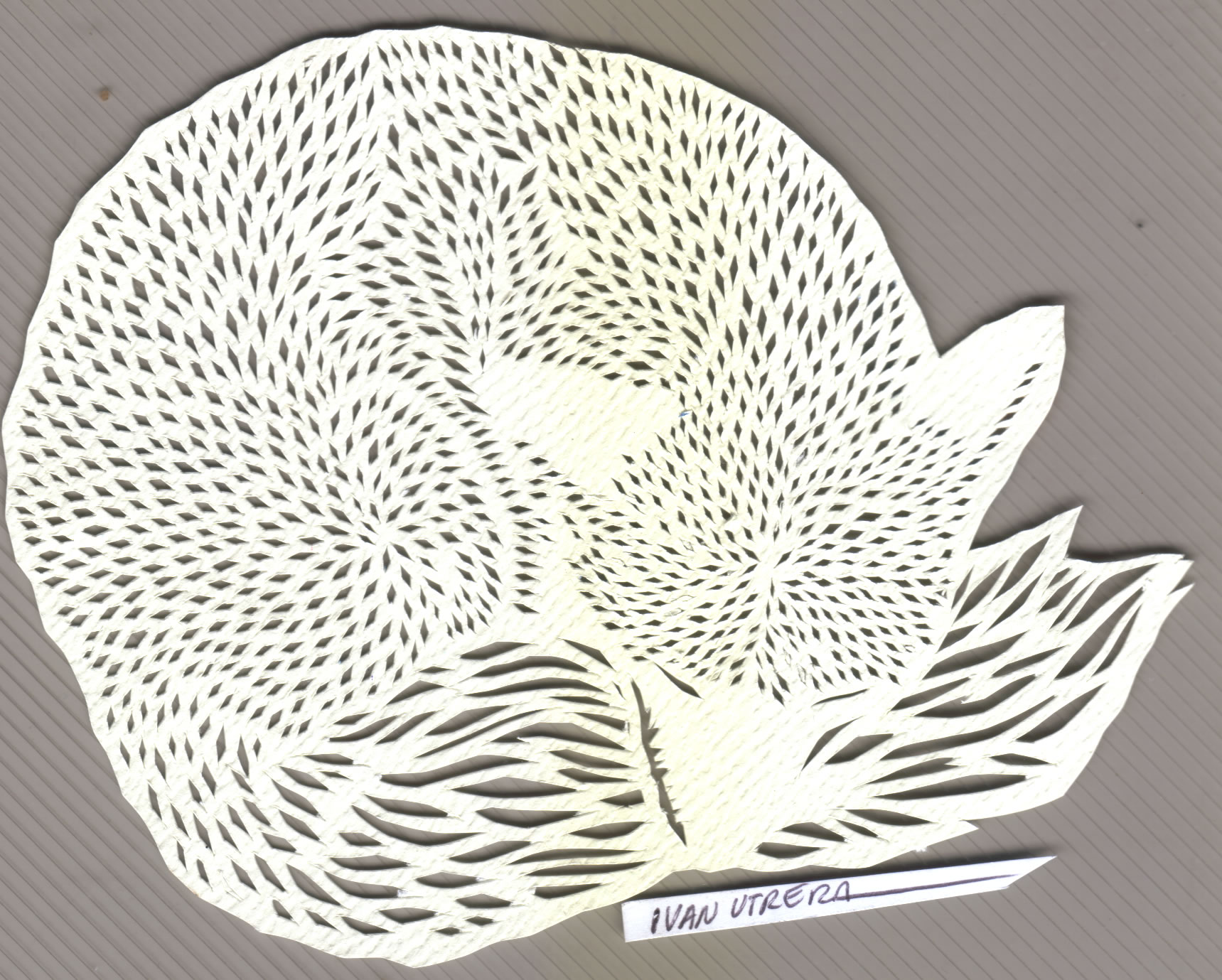 zorro paper cut | Scrolller