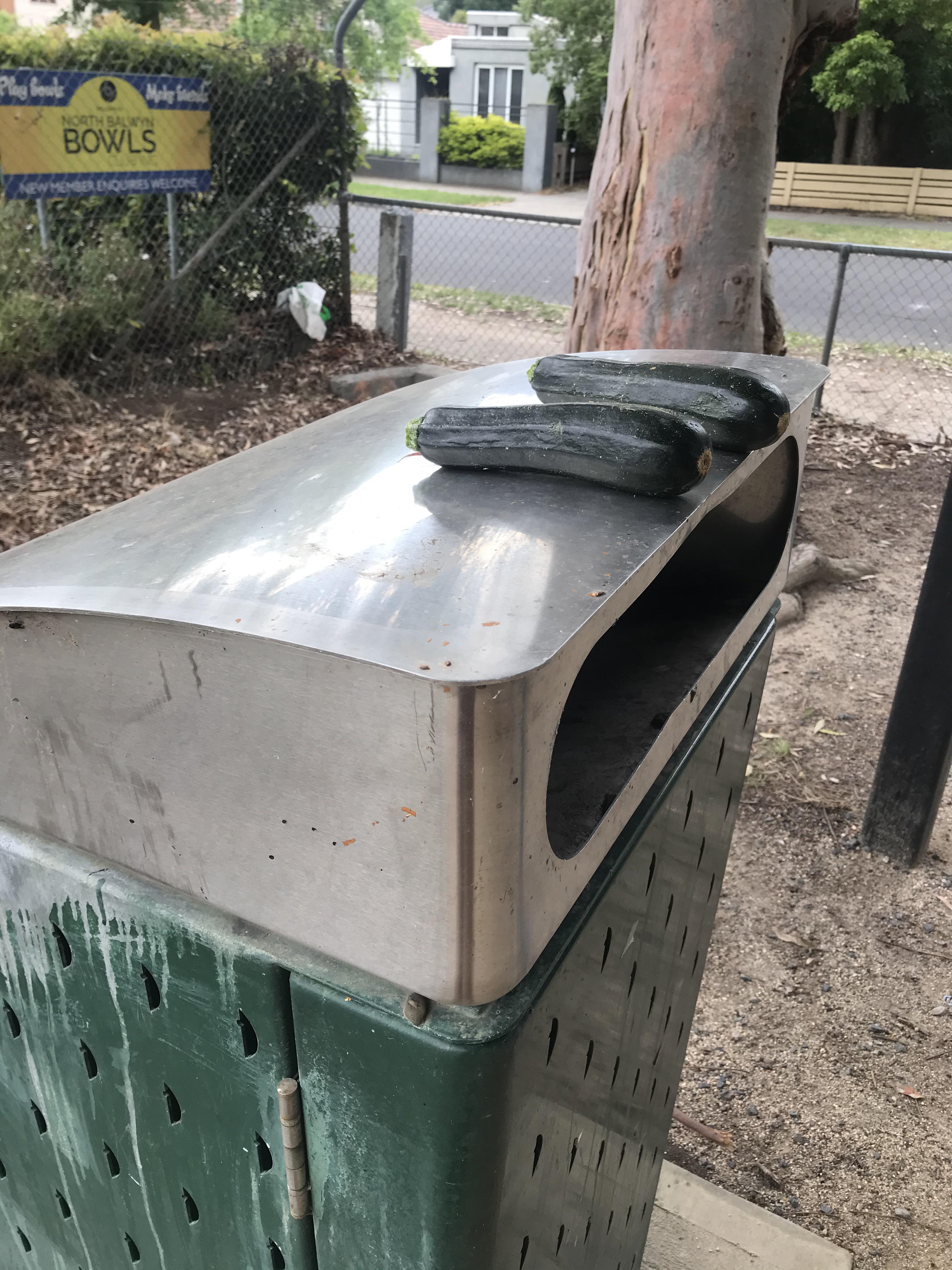 zucc bin | Scrolller