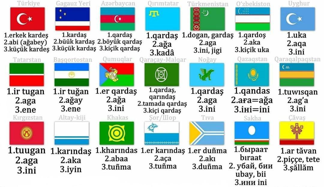1=brother 2=elder brother 3=younger brother in Turkic Languages. | Scrolller