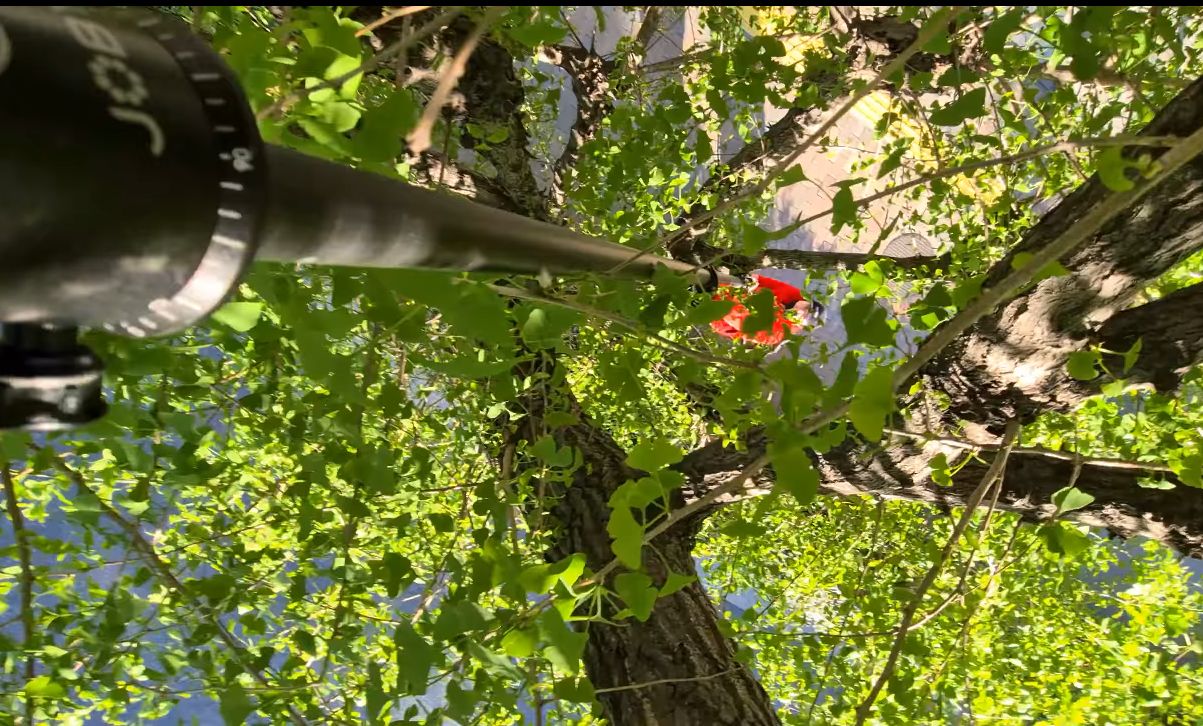 10 PHOTOS TAKEN SECONDS BEFORE DISASTER | Scrolller