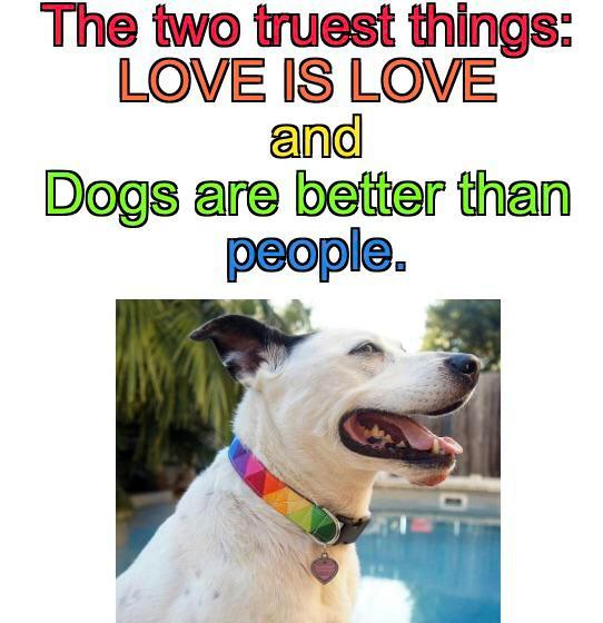 100% factual | Scrolller