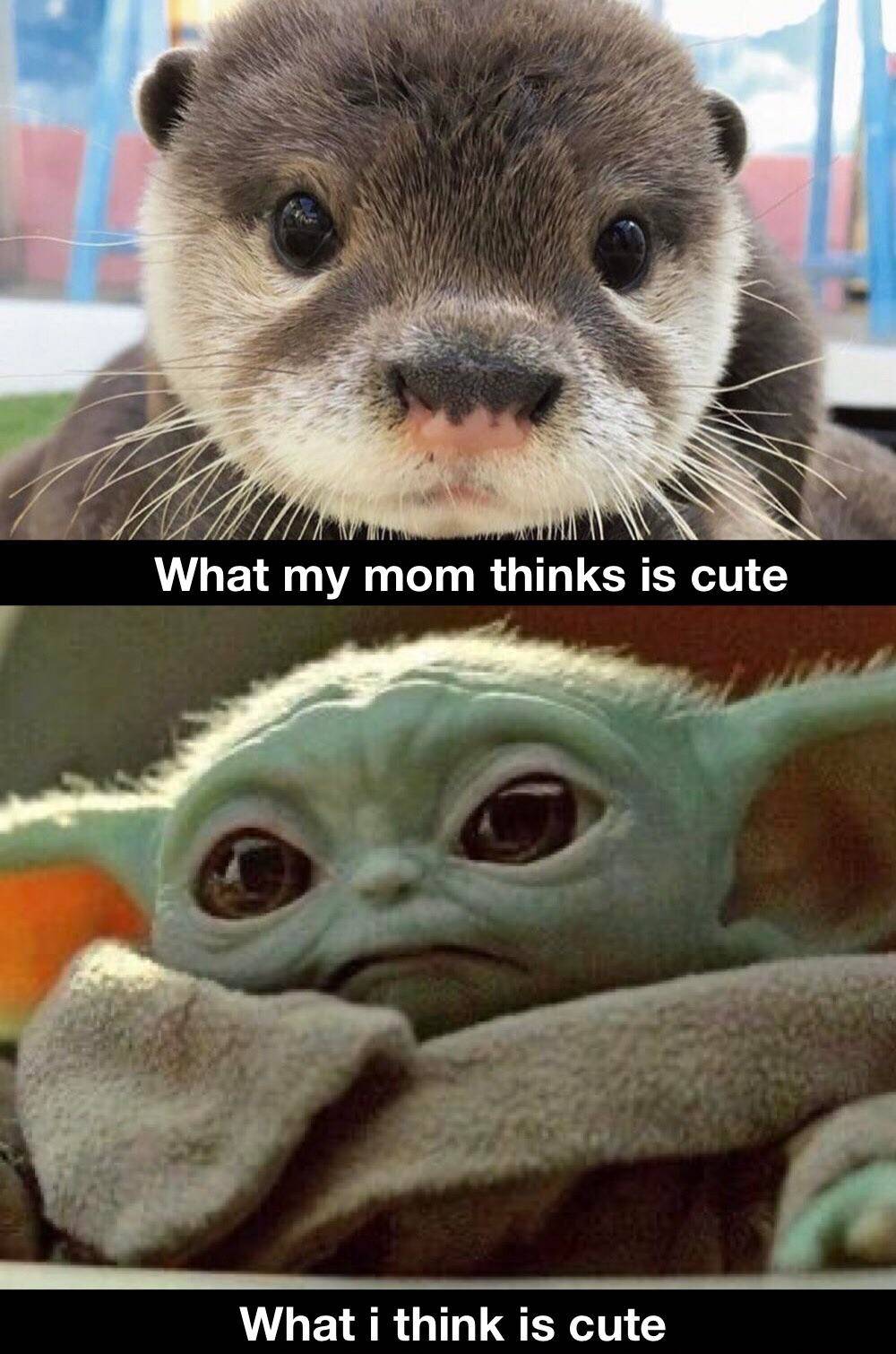 100%true | Scrolller