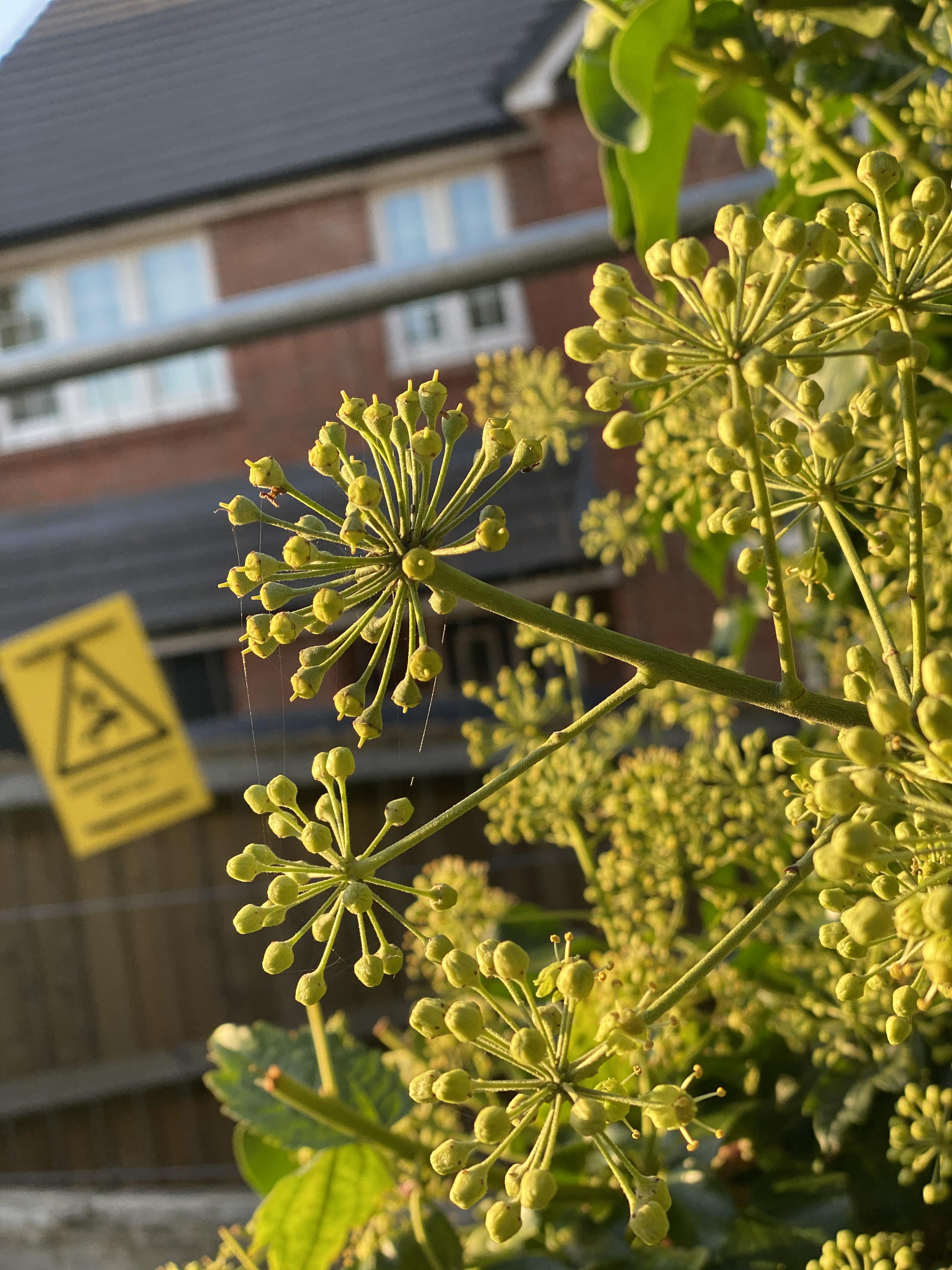 11 pro portrait | Scrolller