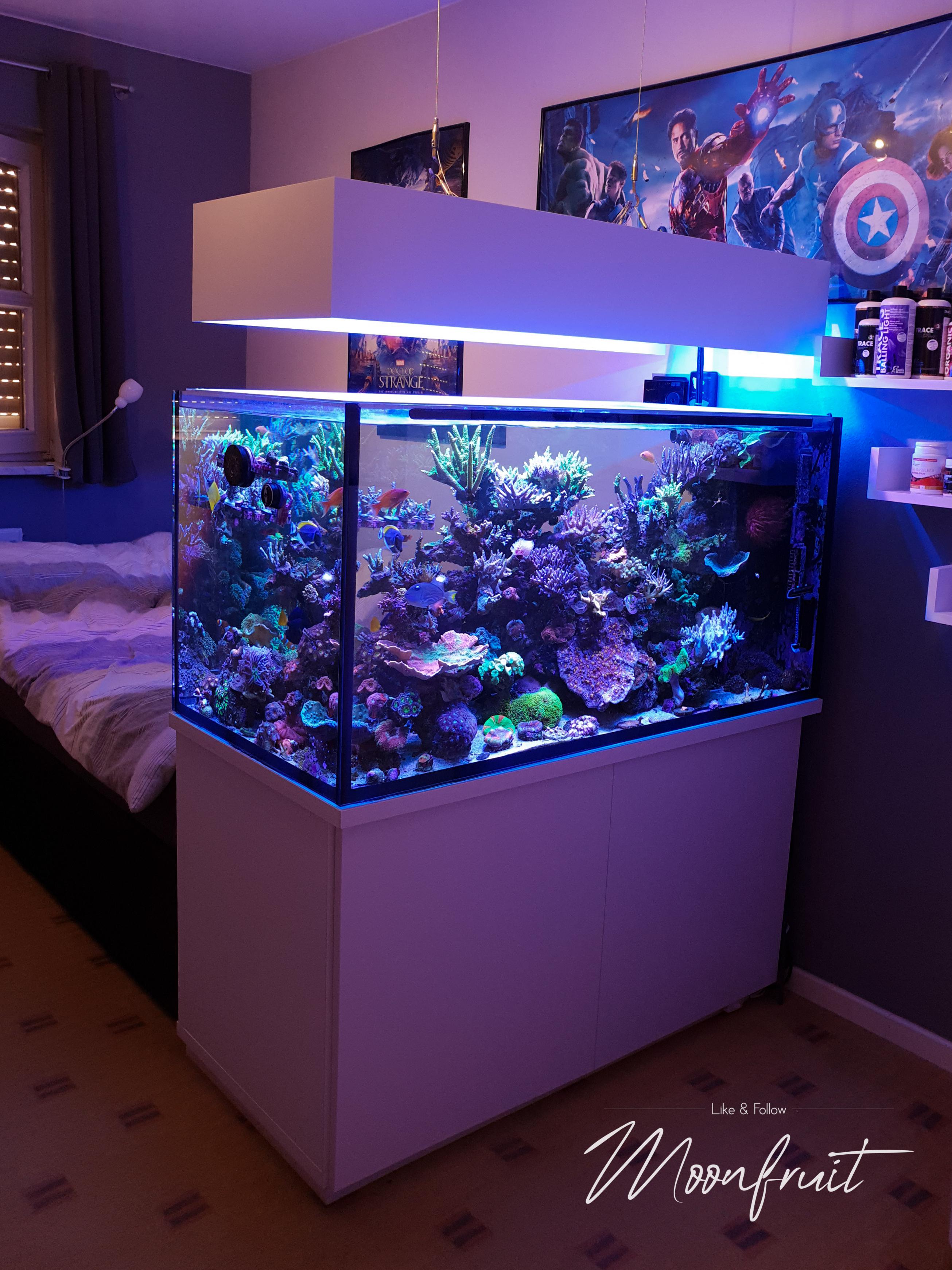 125 Gallon peninsular bedroom-reef | Scrolller