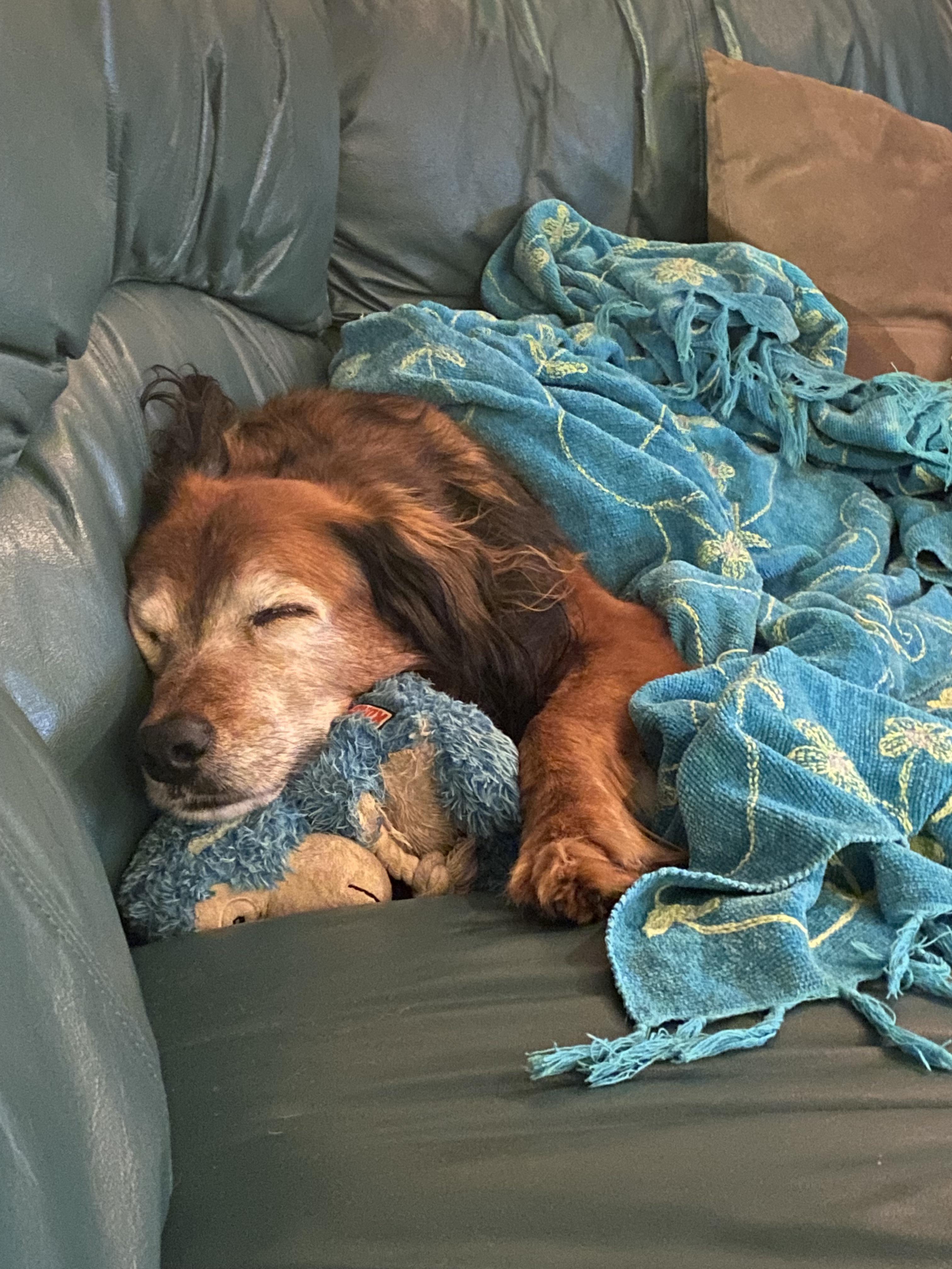 15 going on 16 and comfy AF. | Scrolller