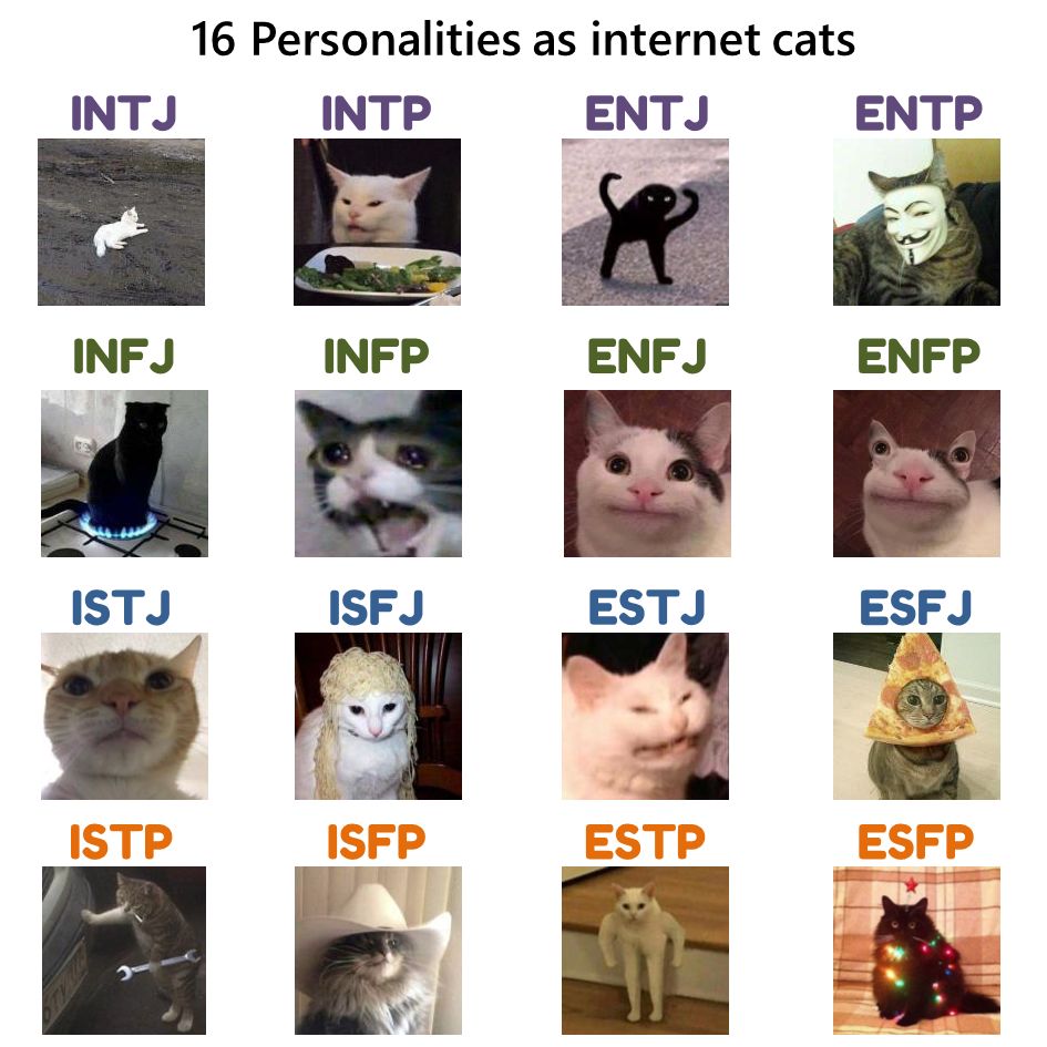 16 personalities as internet cats | Scrolller